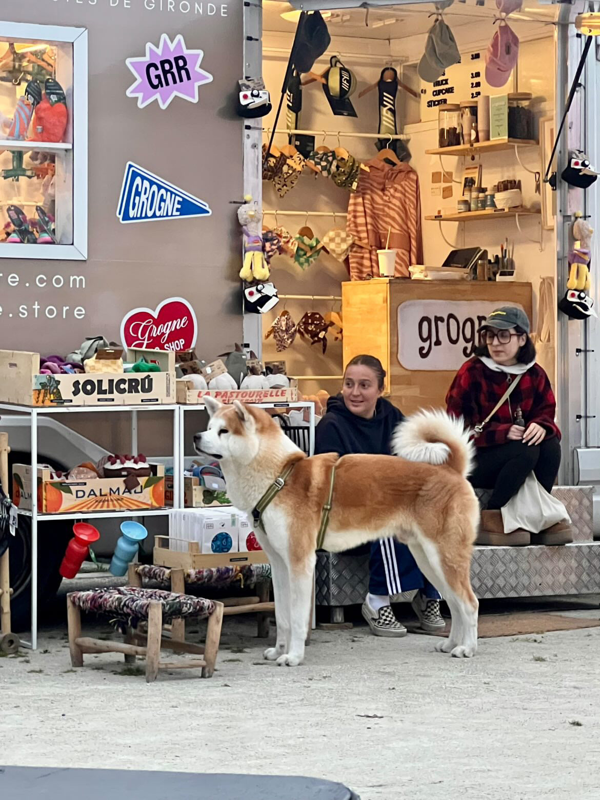 Grogne Store | Magasin itinérant pour chien en Gironde