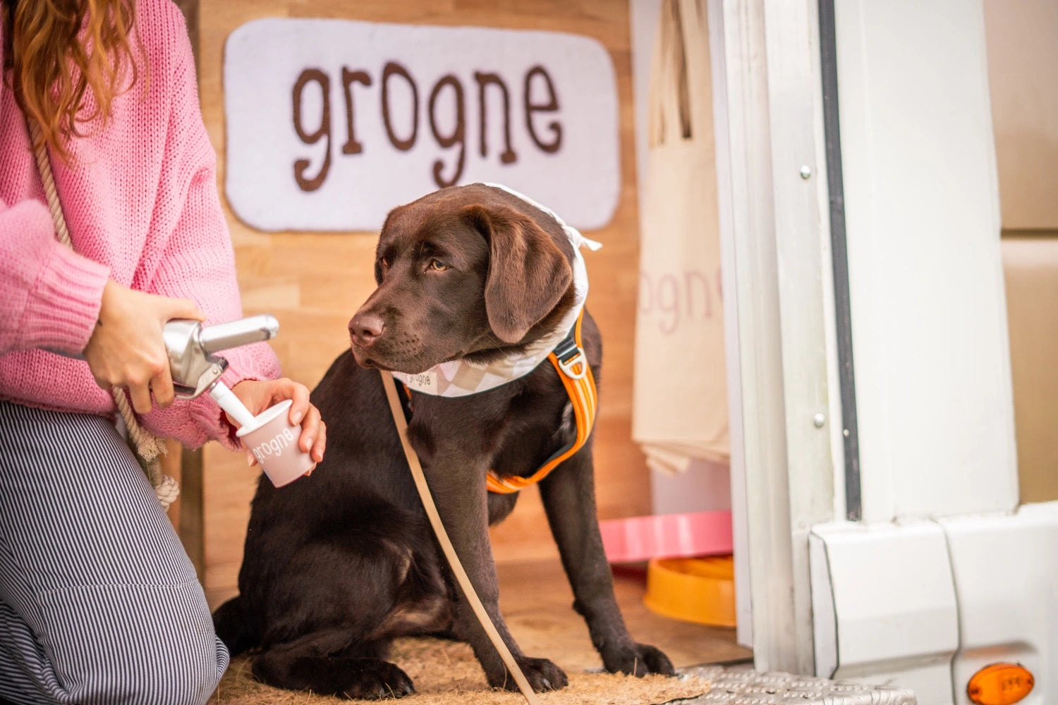 Grogne Store | Magasin itinérant pour chien en Gironde